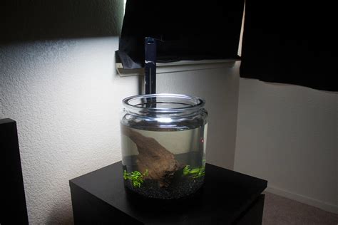 List Low Tech Mini Nano Pico Planted Tanks 50