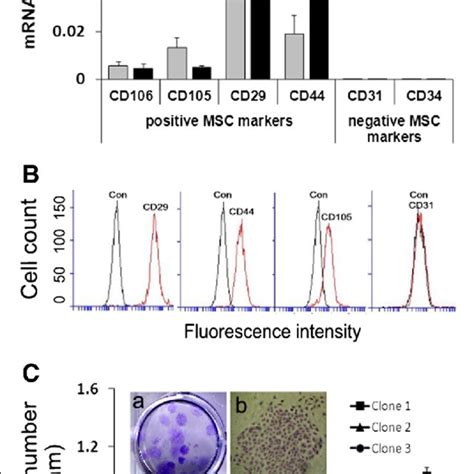 Msc Marker Expression And Clonal Growth Of Mesc Fbs A Comparative