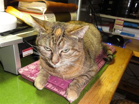 Interview Question What Is The Difference Between Long And Wide Format Data By Tracyrenee