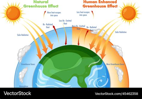 Diagram Showing The Greenhouse Effect Royalty Free Vector