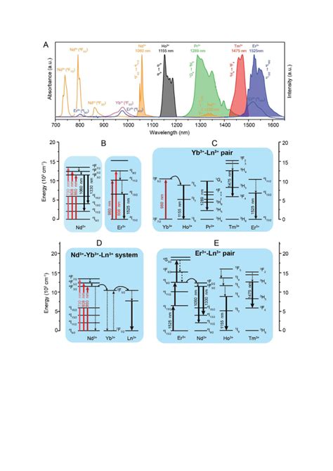Pdf New Advances In Pre Clinical Diagnostic Imaging Perspectives Of Functionalized
