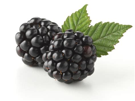 Black Raspberry Fruit