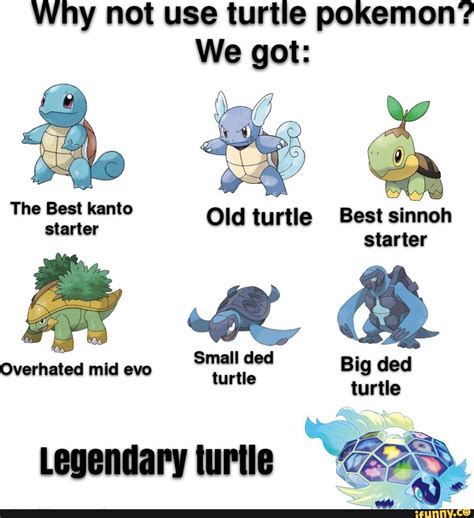 Why Not Use Turtle Pokemon We Got Th B Tk E Best Kanto Old Turtle
