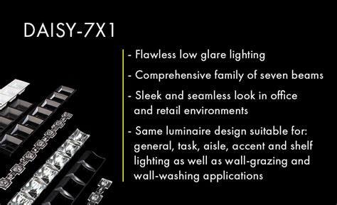 The Future Of Light Is Dark Ledil Daisy Ledil