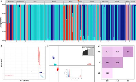 Rad Seq Based Population Structure Of Porites Cf Lobata A Structure