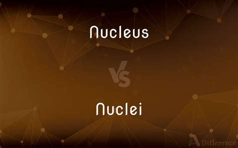 Nucleus Vs Nuclei Whats The Difference