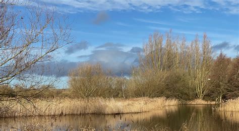 Sonning To Goring Along The Thames Path Andrew Townsend
