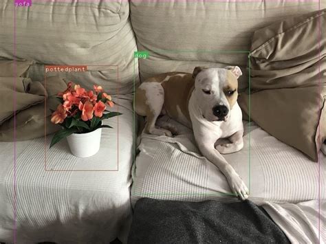 Great Tutorial On How To Implement Yolo V3 In Pytorch Form Scratch Ggxtyh4 My