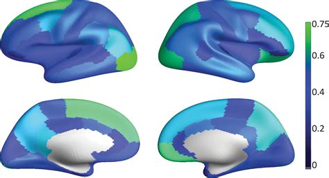 optimizing connectivity driven brain parcellation using ensemble