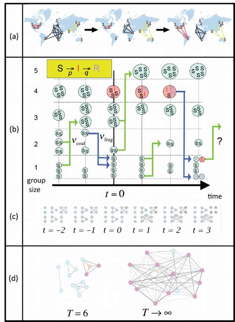 Our Dynamical Group Contagion Model A Schematic Of Dynamical Grouping Download Scientific