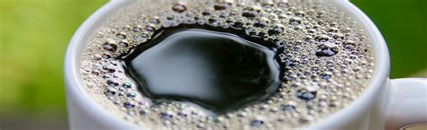 Coffee Science Roasting Coffee Diy Beals Science