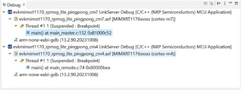 [rt1170]how To Debug A Dual Core Project Within Sdram Nxp Community