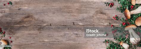 붉은 후틀베리 나무 배경에 볼레투스 에둘리스 버섯 공간을 복사합니다 맨 위 보기입니다 유기농 숲 식품 식용 신선한 수확 포르치니 버섯 가을 수확 개념 세프 버섯 따기