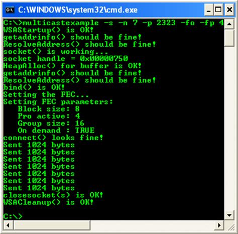 The Reliable Multicasting Reliable Sender The Window Size Forward Error Checking Fec And