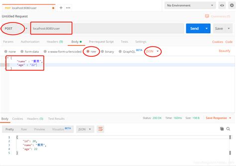 Postman使用raw的正确姿势postman Raw Csdn博客