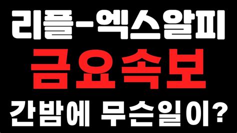 엑스알피 리플코인 금요속보 간밤에 무슨일이 뉴스정리 불독코인비트코인급등코인코인단타 Youtube