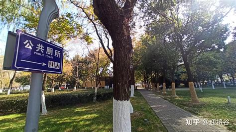 在合肥一日游好玩的景点有哪些？ 知乎