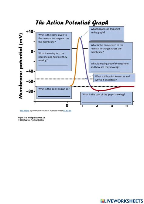 Action Potential Graph