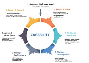 Advisory Capability Services Certitude Australia