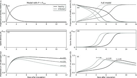 Illustration Of The Time Dependent Behaviour Of The Model ODE Ordinary Download Scientific