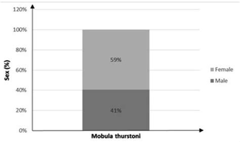 Sex Ratio Of M Thurstoni Download Scientific Diagram