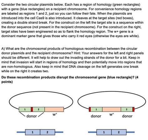 Solved Consider The Two Circular Plasmids Below Each Has A