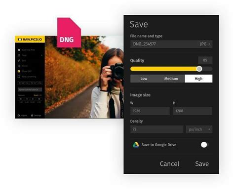 Convert DNG To Online With Raw Pics Io DNG Free Converter And Viewer