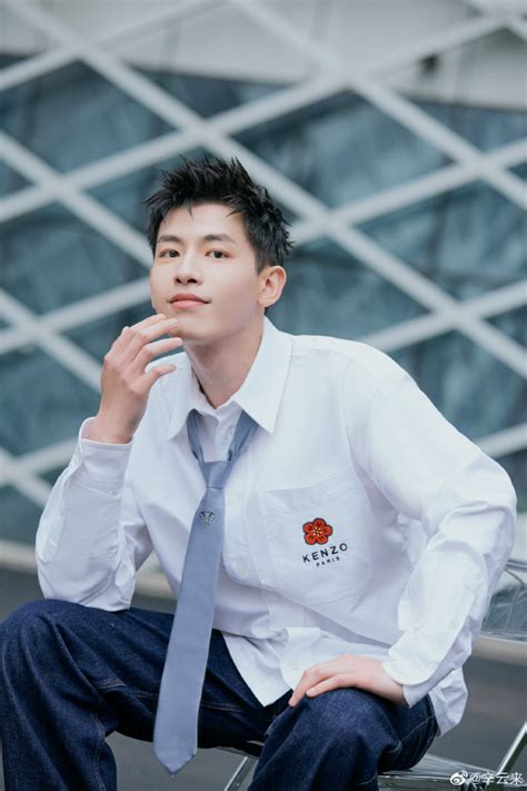 Актер Синь Юнь Лай Xin Yun Lai 辛云来 список дорам Сортировка по году написания Doramatv