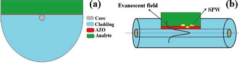 Schematic Diagram Of D Shape Azo Coated Spr Based Optical Fiber Sensor Download Scientific