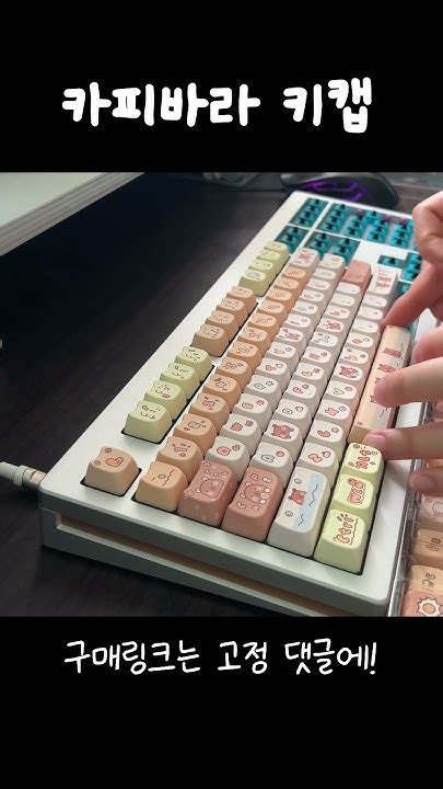 💥충격실화💥 카피바라 키캡 실존함 키캡디자인 신상 Mao 프로파일 키캡 카피바라🤎 기계식키보드 Keyboard 키보드키캡