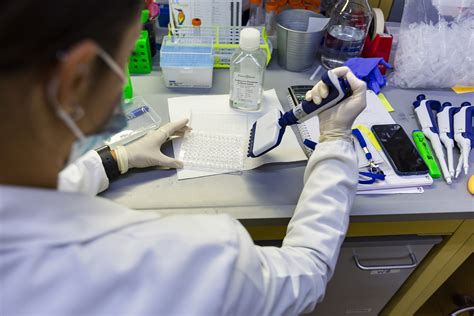 Single Cell Rna Sequencing Analysis A Step By Step Overview — Tigem