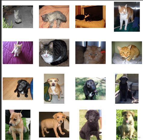 【tensorflow】基于卷积神经网络的猫狗识别tensorflownet 猫狗识别 Csdn博客