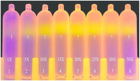 Optimization Of Gelgreen™ Concentration In Cscl Density Gradients The Download Scientific