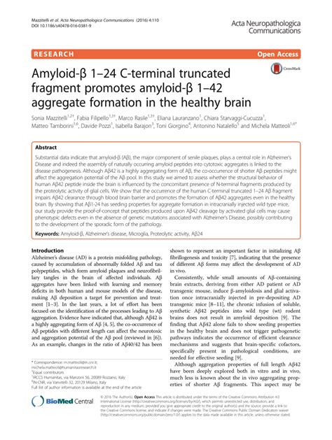 Pdf Amyloid β 124 C Terminal Truncated Fragment Promotes Amyloid β 142 Aggregate Formation