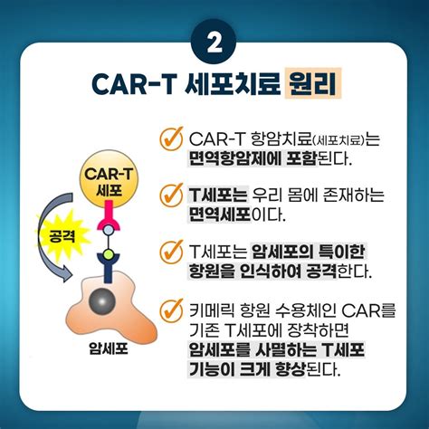 꿈의 항암제 Car T 카티 세포치료 암보험