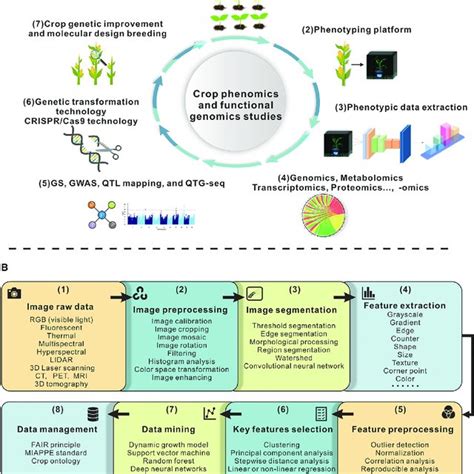 Pdf Crop Phenomics And High Throughput Phenotyping Past Decades Current Challenges And