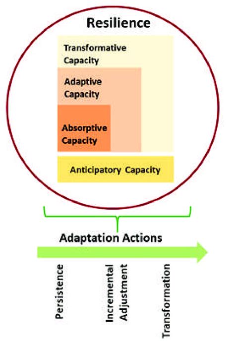 Understanding The Linkages Between Adaptation And Resilience Source Download Scientific