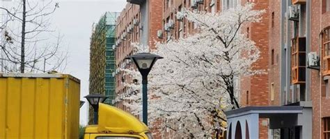 “疫”往直前疫情运动小碗