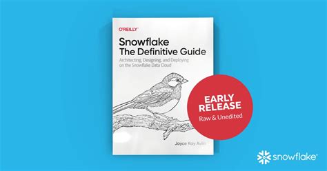 snowflake the definitive guide snowflake