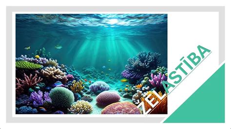 Žēlastība 5 Youtube