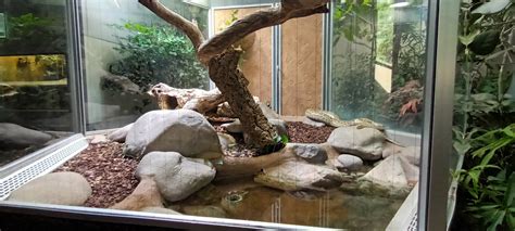 Burmese Python Habitat Zoochat Burmese Python Habitat Zoochat