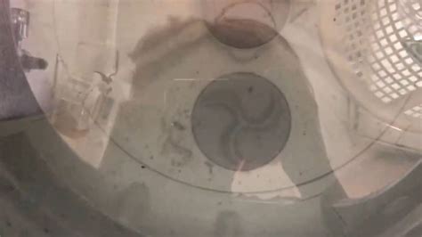 [생활의 고수] 세탁기 세탁조 셀프로 청소하는 법 바로 ㄱㄱ Youtube