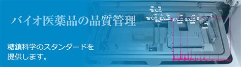 糖鎖試薬販売 糖鎖受託解析 受託合成医化学創薬株式会社