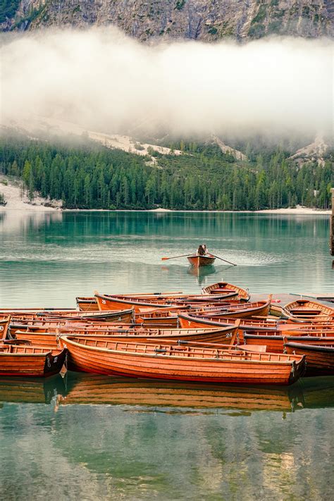 Naturalthickwhitegirl Photos Download The Best Free Naturalthick