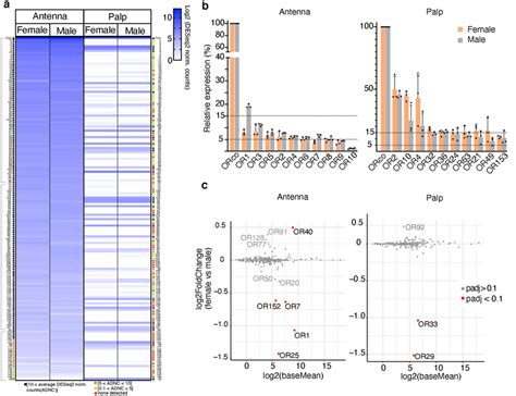 expression of putative sameors by tissue type and sex rnaseq reads
