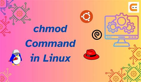 Chmod Command In Linux With Examples Naukri Code 360