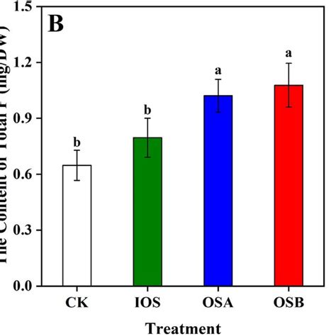 Rice Seedling Photosynthesis With Different Treatments A A Gs B Download Scientific