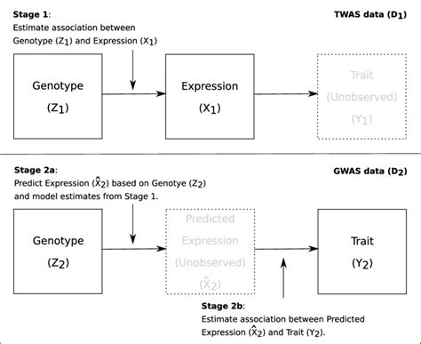 Two Stage Least Squares Approach Two Stage Least Squares 2sls Is One Download Scientific