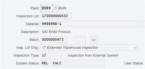Ewm Partial Inspection Via Qm Interface Itpfed