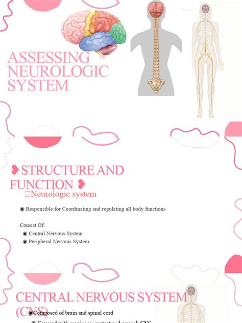 Assessing Neurologic System 20240723 195021 0000 Pdf Central